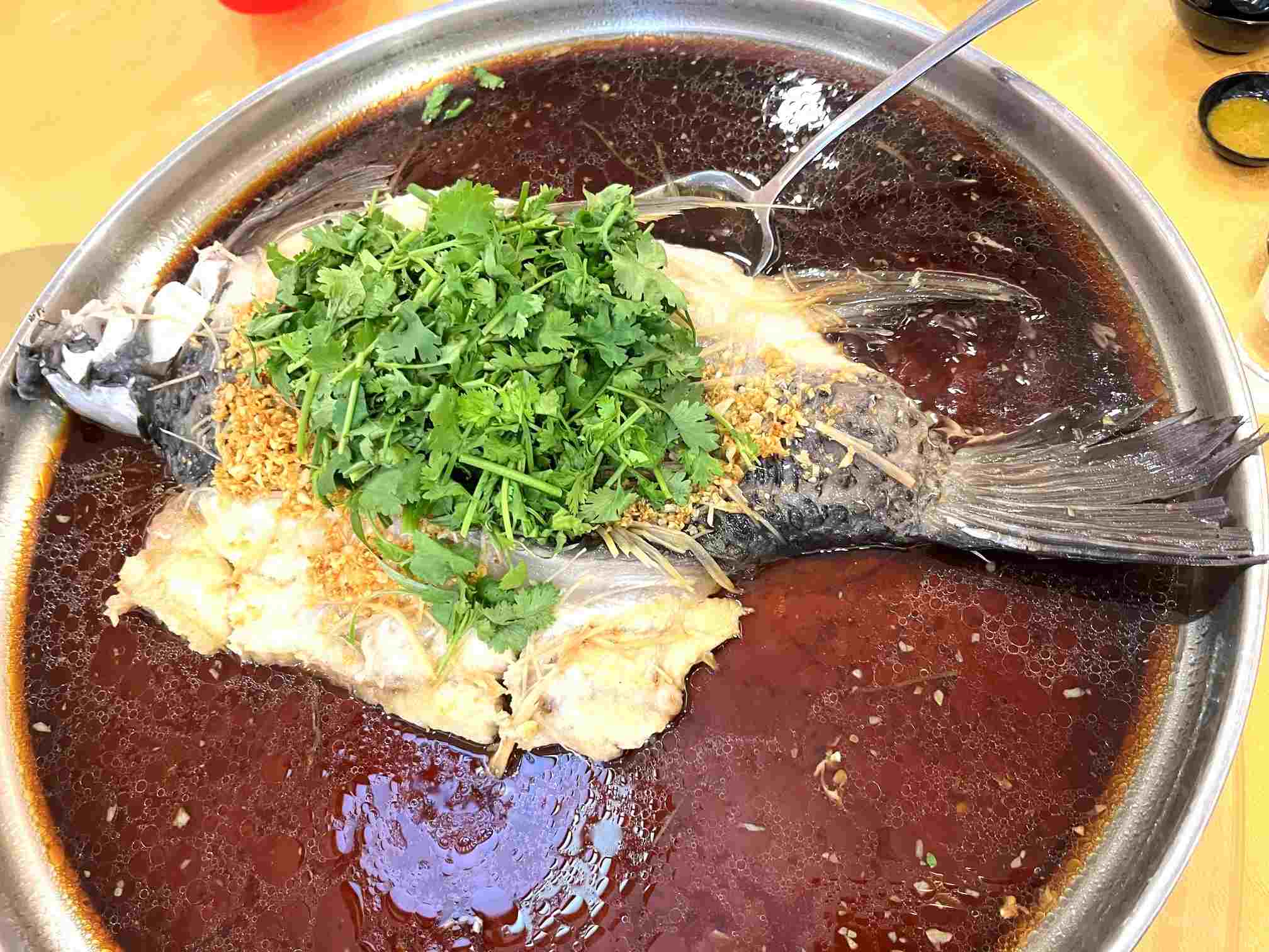 Black Emperor Fish - Hooi Khaw & Su